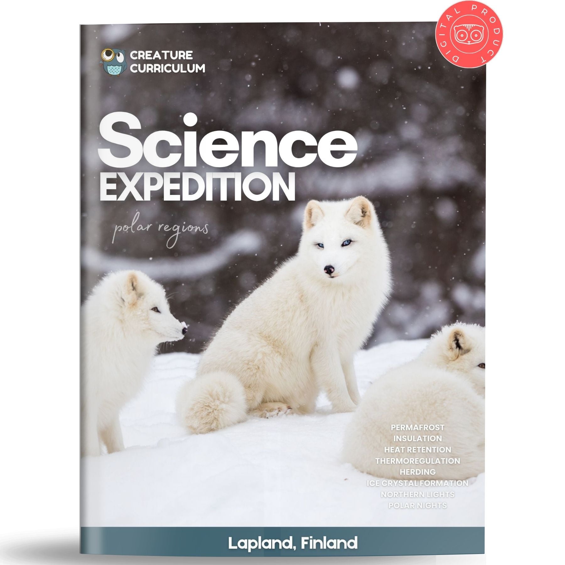 The Lapland Polar Study – Creature Curriculum