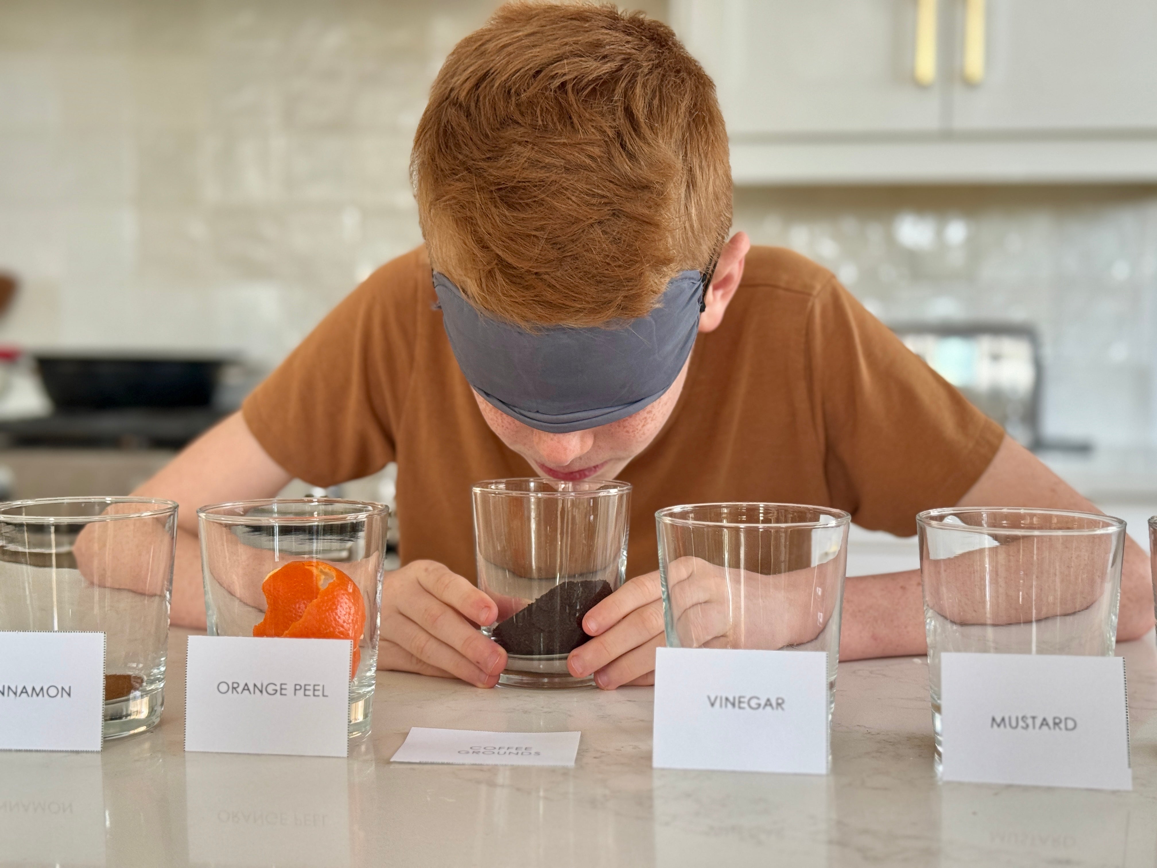 What is NGSS, and How Does It Shape Creature Curriculum?