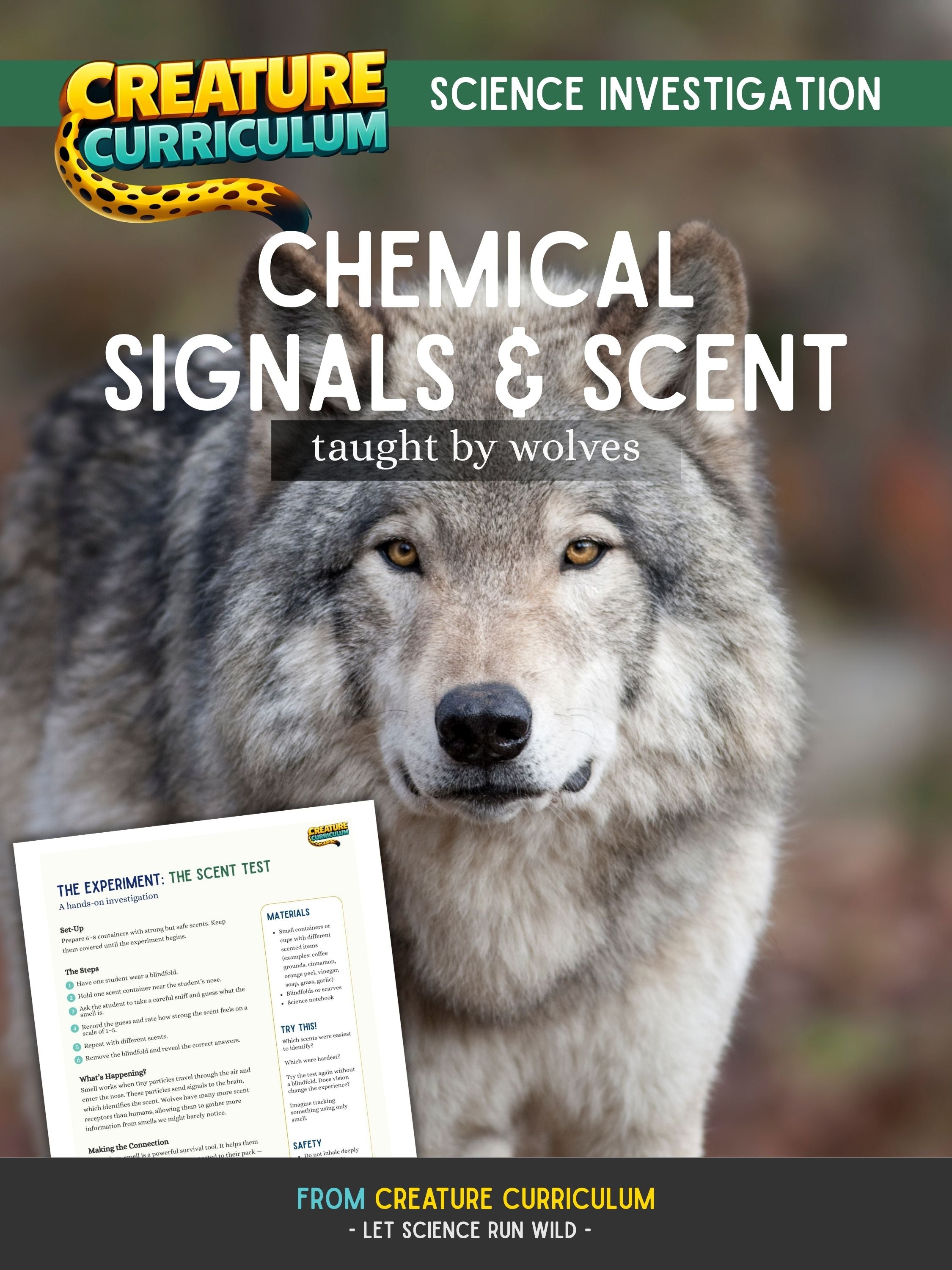 Chemical Signals and Scent - Wolves – Creature Curriculum
