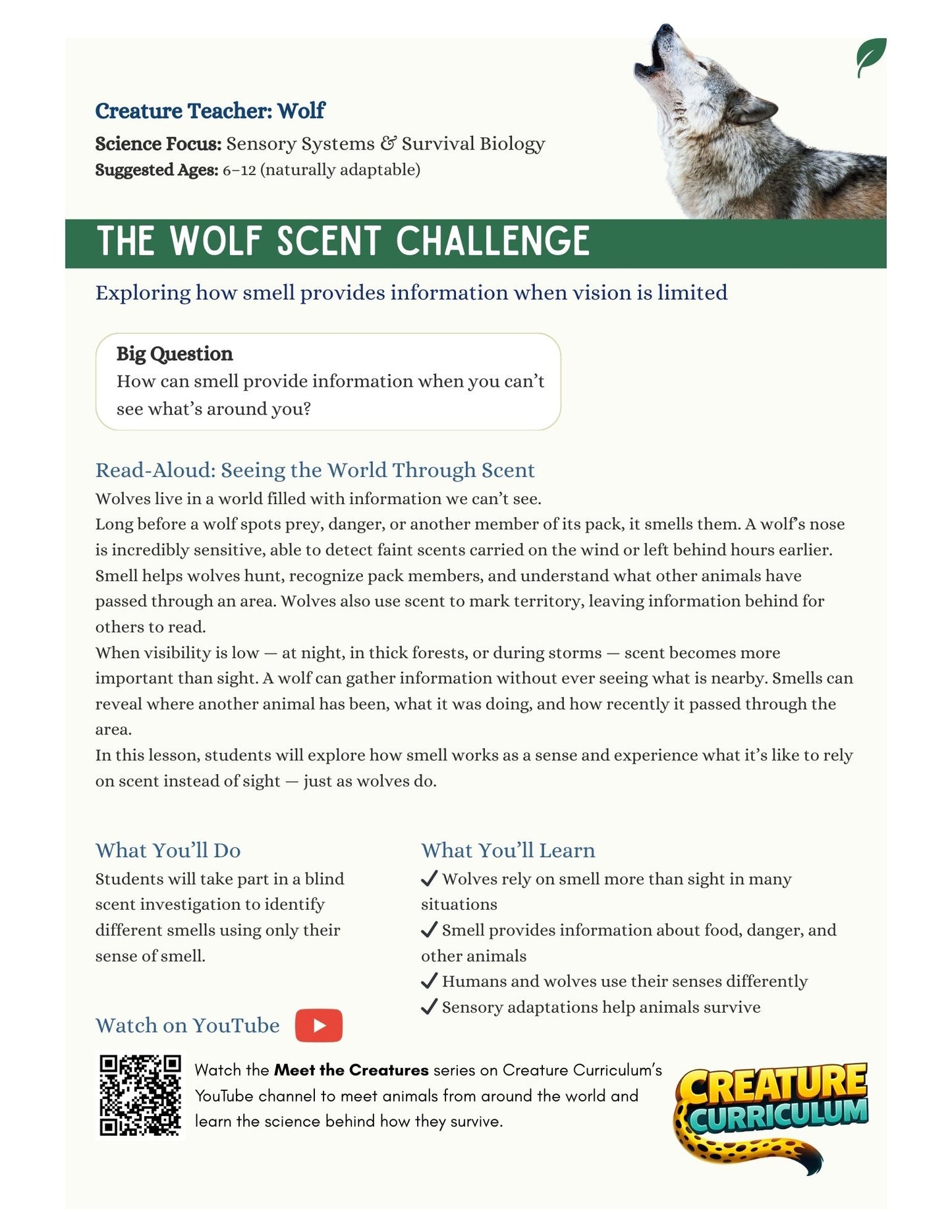 Chemical Signals and Scent - Wolves – Creature Curriculum