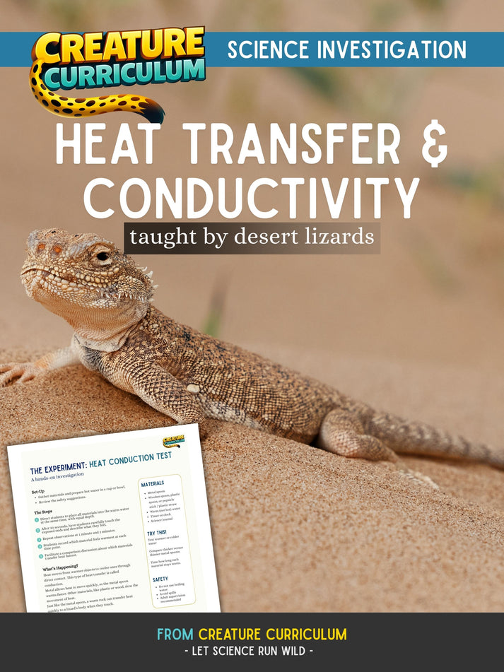 Heat Transfer and Conductivity - Desert Lizards – Creature Curriculum