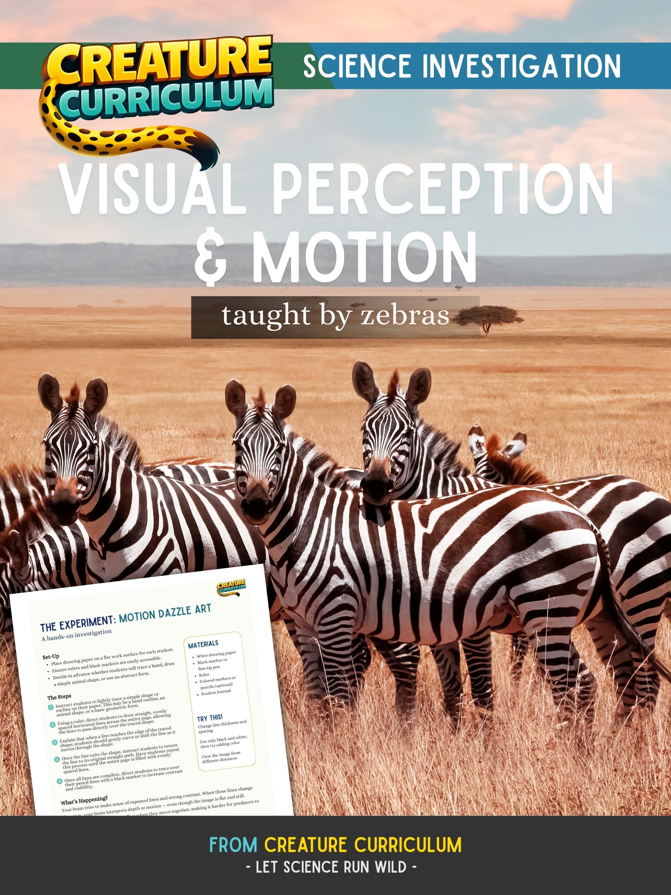 Visual Perception and Motion - Zebras – Creature Curriculum