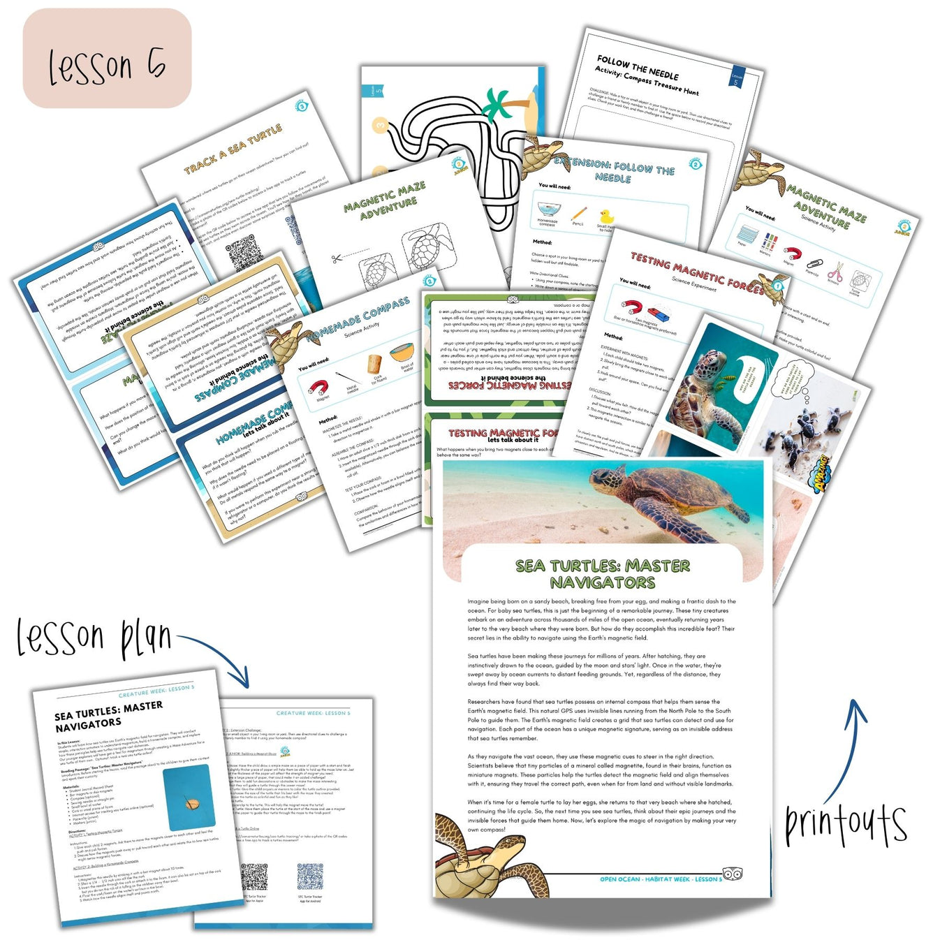 The Open Ocean Study – Creature Curriculum