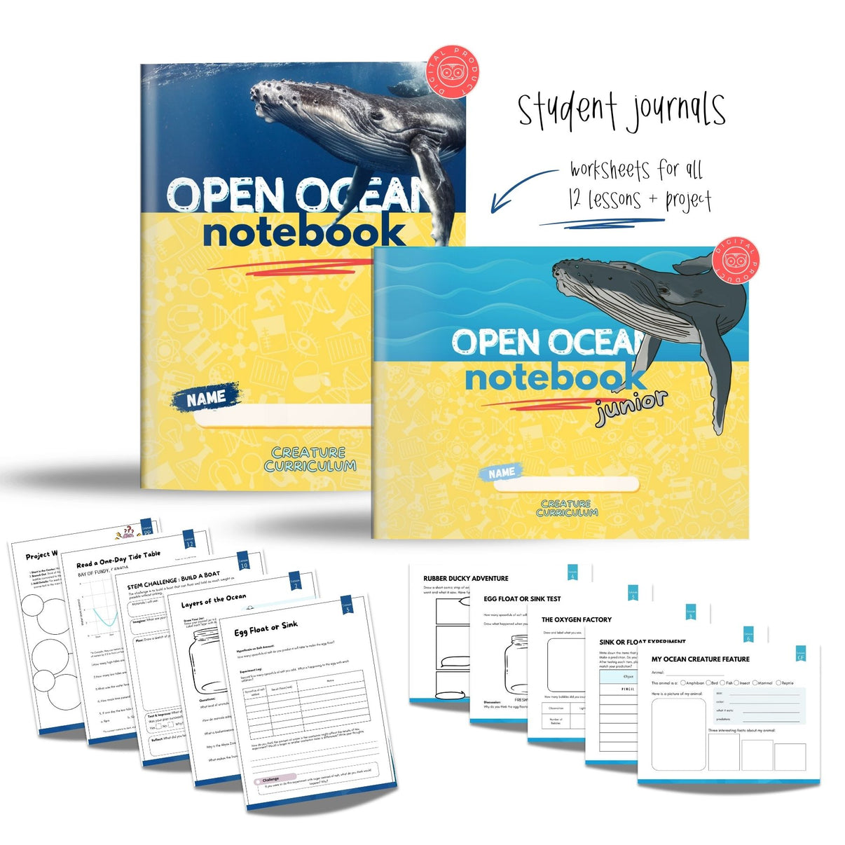 The Open Ocean Study – Creature Curriculum